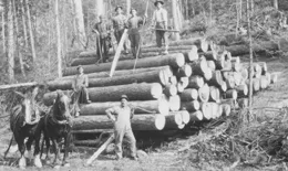 LEARN ABOUT Clare Log Marks