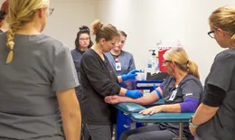 Phlebotomy Short-Term Training